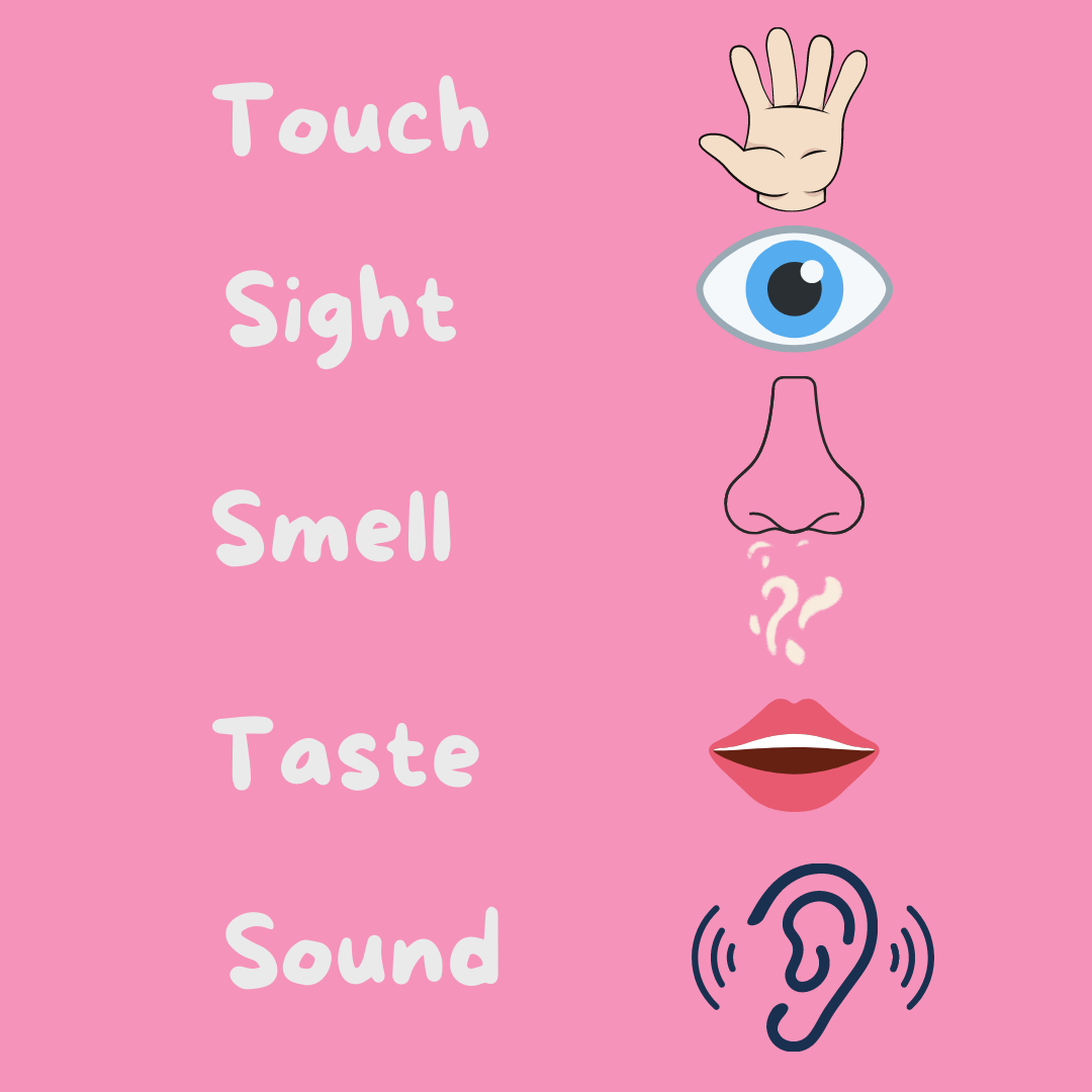 Sensory Toolkit and Sensory Kit on the Go – UCLA CARES Center